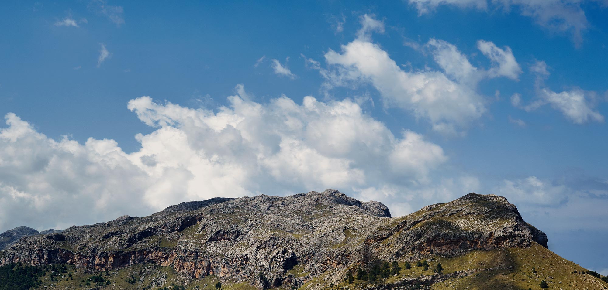 MARK Studio — Brand Design Agency