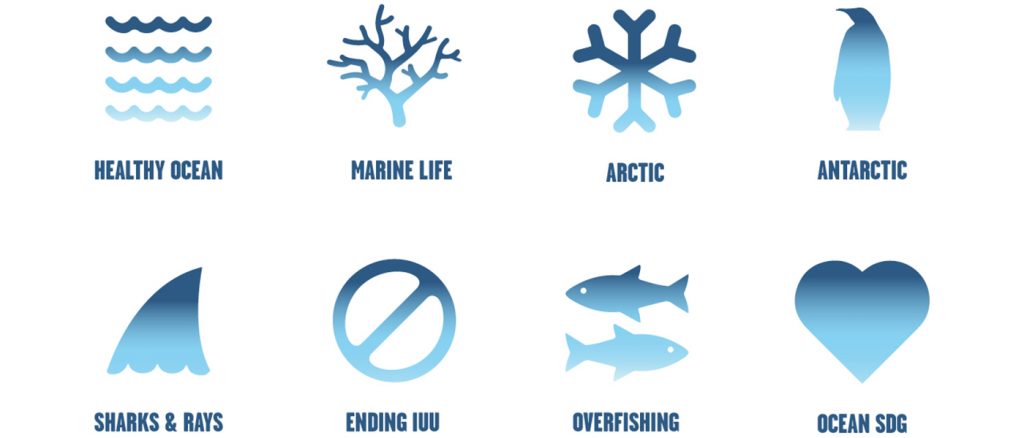 Ocean Unite | MARK Studio — Brand Design Agency